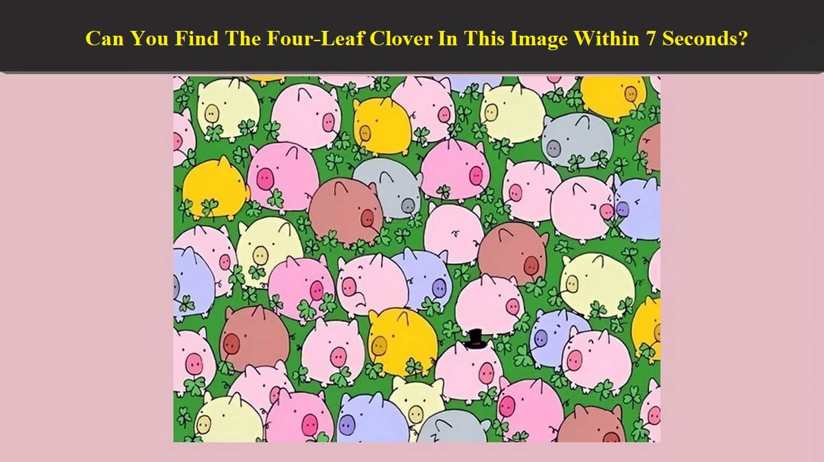 Can You Find The Four-Leaf Clover In This Image Within 7 Seconds ...