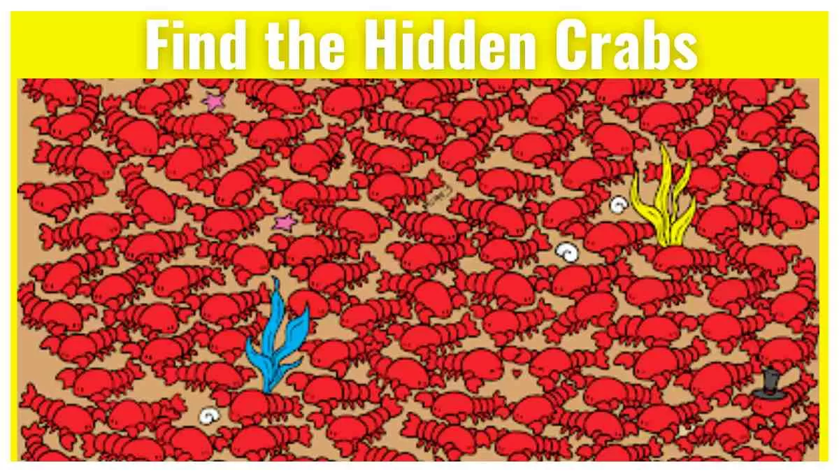 Brain Teaser Hidden Crabs: You Have Eagle Eyes If You Can Find The ...