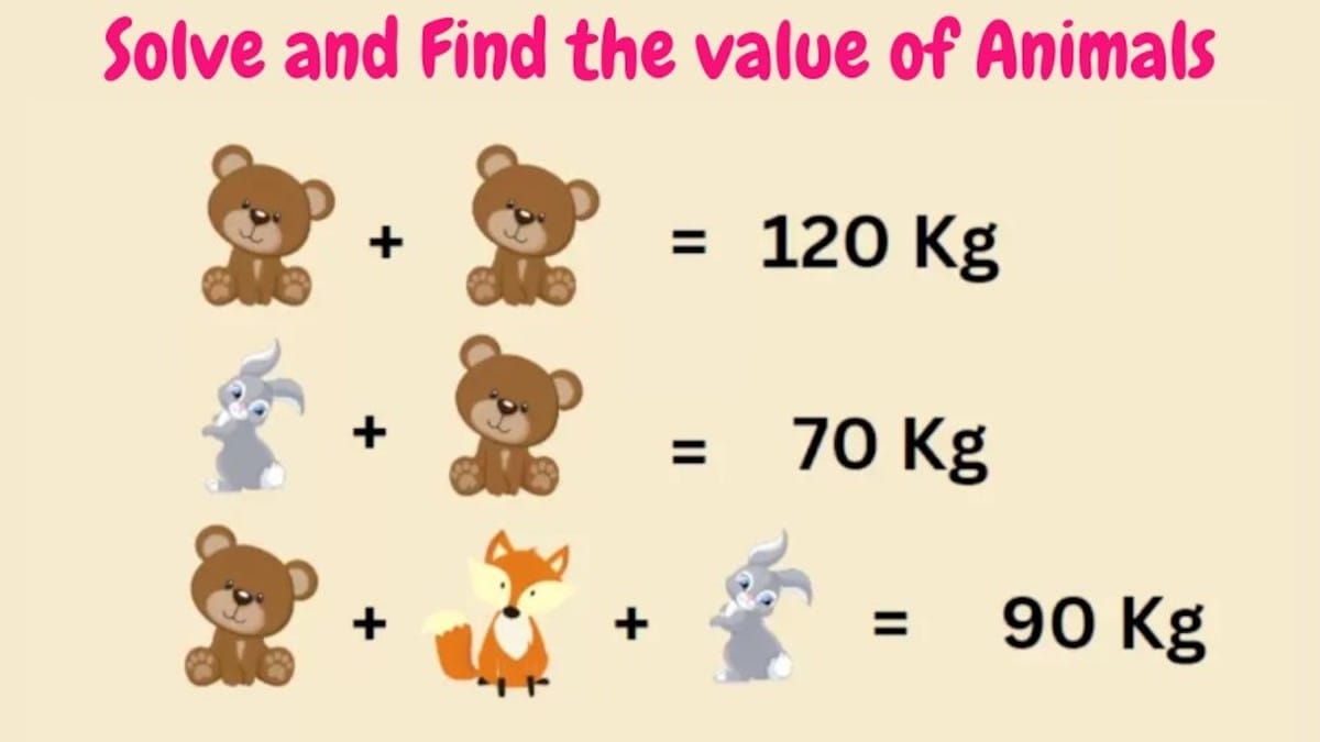 Find The Value Of Animals: Solve And Find The Value Of Animals - chashmak