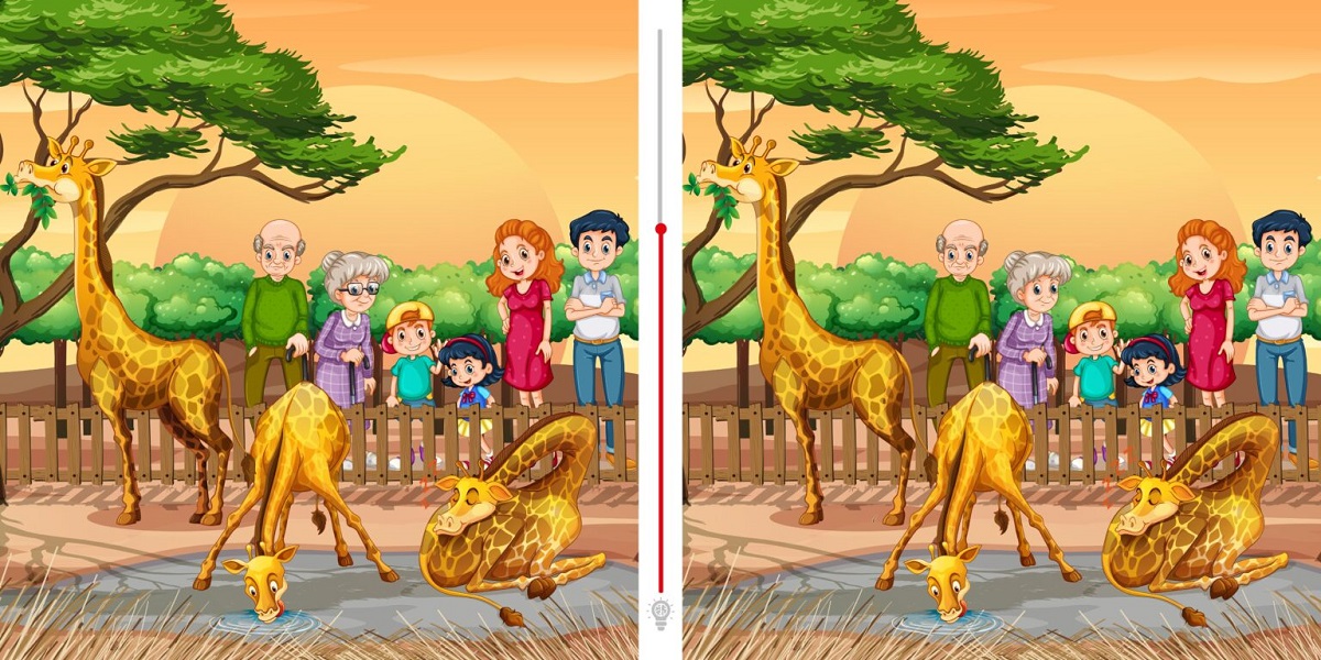 Challenge Of The Day: Can You Find The 3 Differences In This Zoo In ...