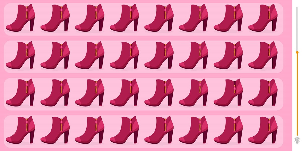 Visual Logic Riddle: Intelligent Audience Can You Find The Pair Of ...