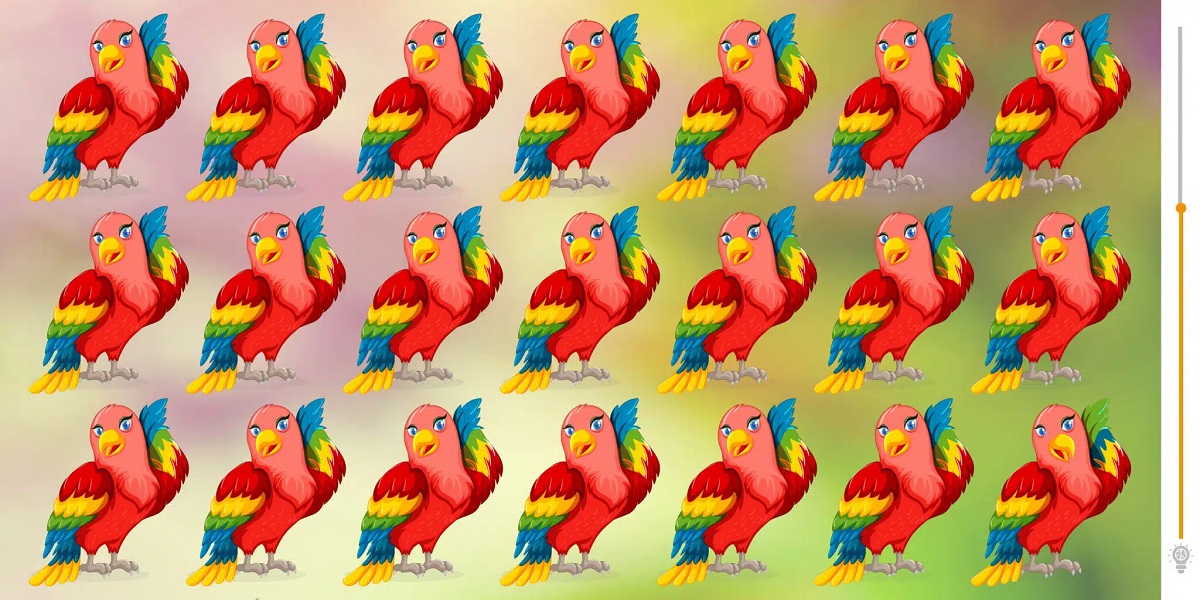 Visual Test Of Parrot: Evaluate Your Agility By Identifying The ...