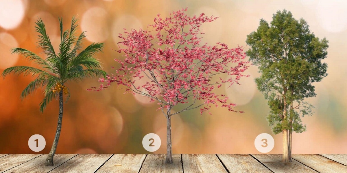 3 Trees Personality Test: Which of These 3 Trees Speaks To You? Dive ...